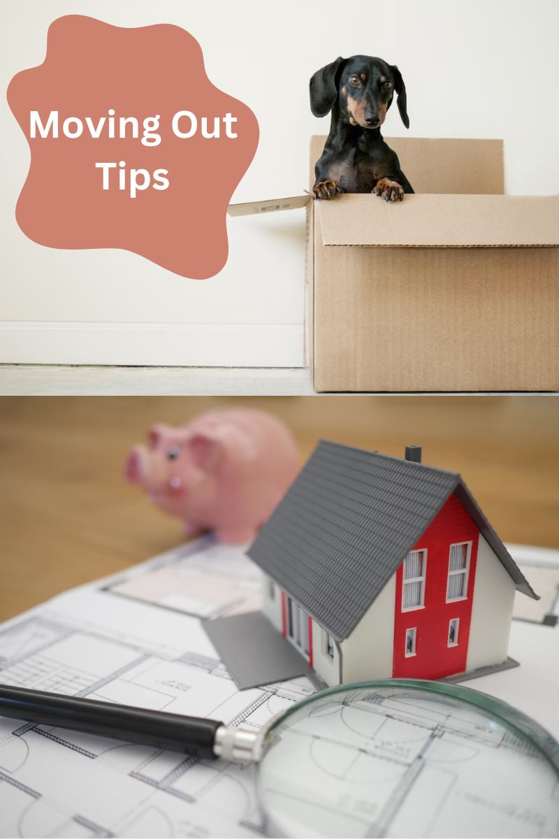 10 Helpful Moving Out Tips I Wish I Knew About Before